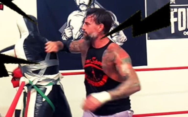CM Punk Engages in Intense Strike Training Amidst In-Ring Absence