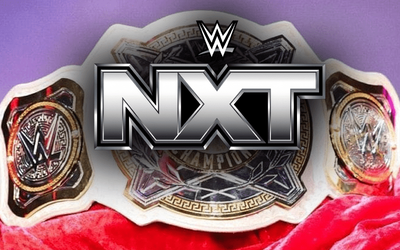 #1 Contender For Women's Tag Team Titles Determined During September WWE NXT