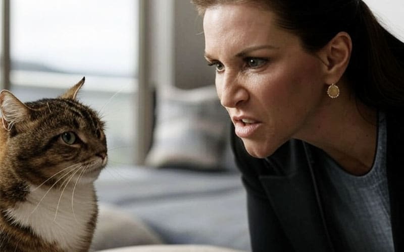 Stephanie McMahon Admits She’s Not a Cat Person and Natalya Isn’t Having It