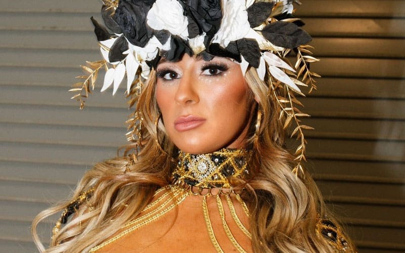 Megan Bayne Reveals New Identity for Her Loyal Followers