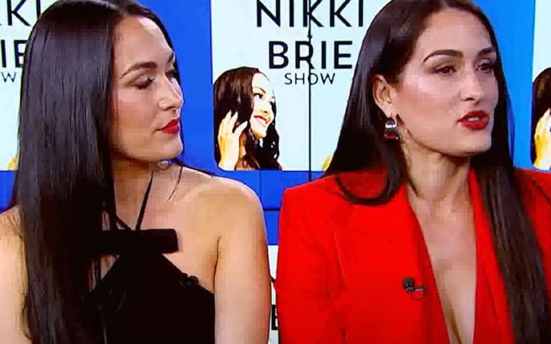 Nikki and Brie Bella Drop Major Hint About WrestleMania 41 Plans
